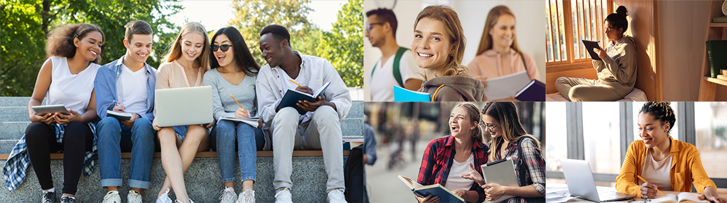 Booktopia Student Discounts Deals 10 Discount Code January Booktopia Student Discounts Deals 10 Discount Code January